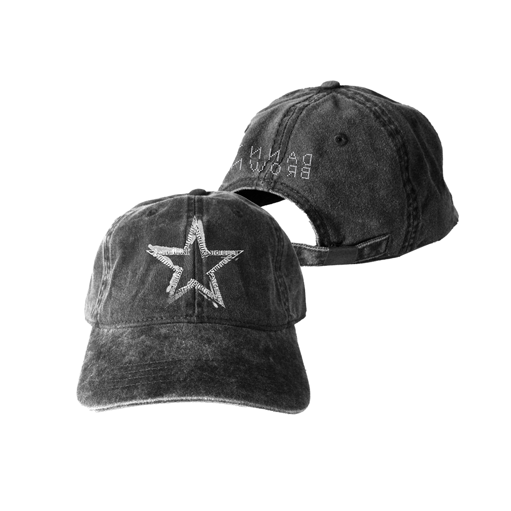 STARDUST Dad Hat - Danny Brown